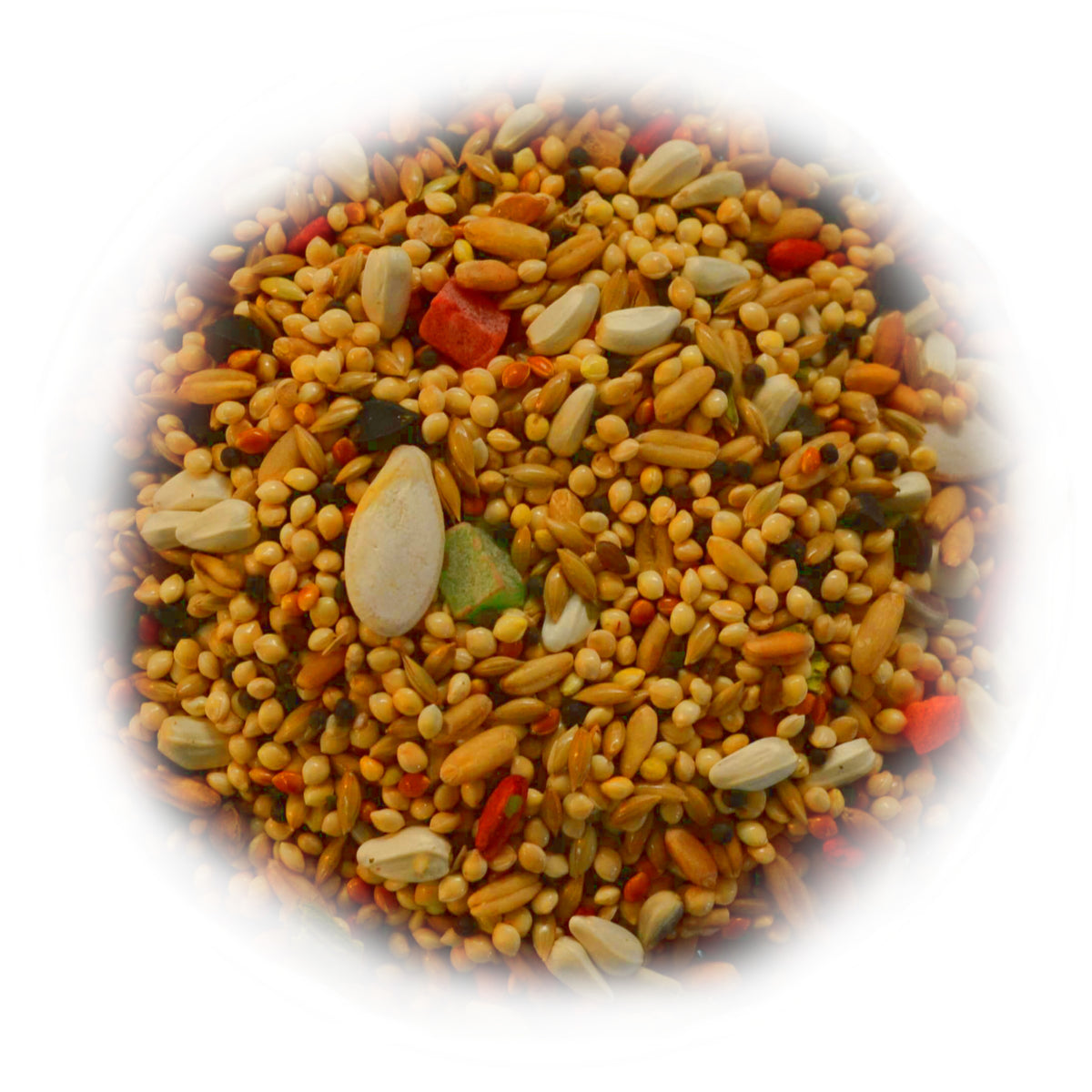 Bulk Preferred Exotic Cockatiel Seed – Feathered Follies