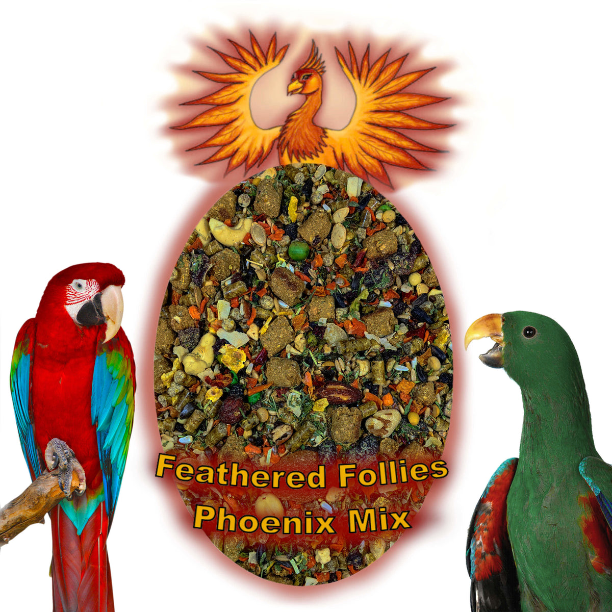 Bulk Phoenix Mix Large – Feathered Follies